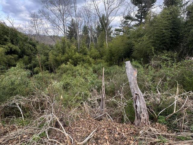 land Asheville NC DS101012015