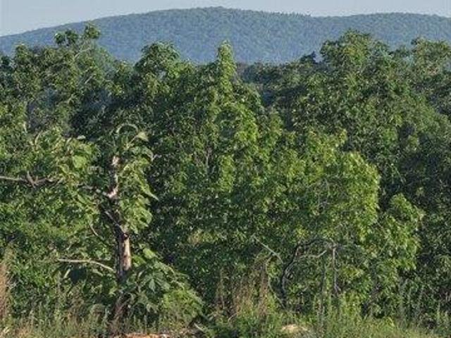 land Asheboro NC DS103602644