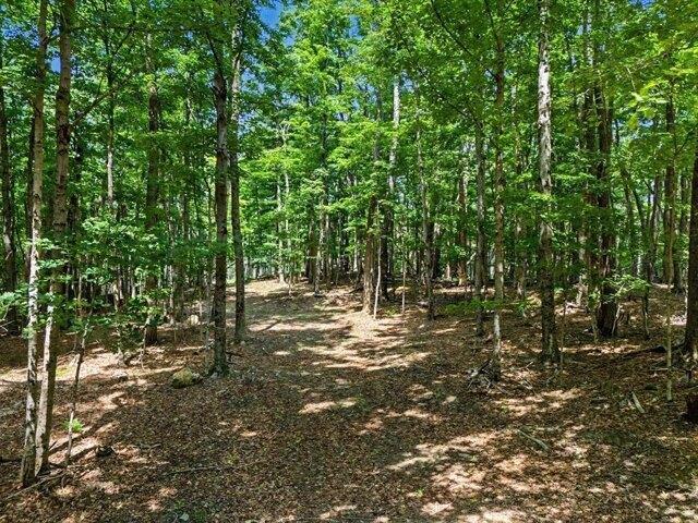 land Ashfield MA ES105081676