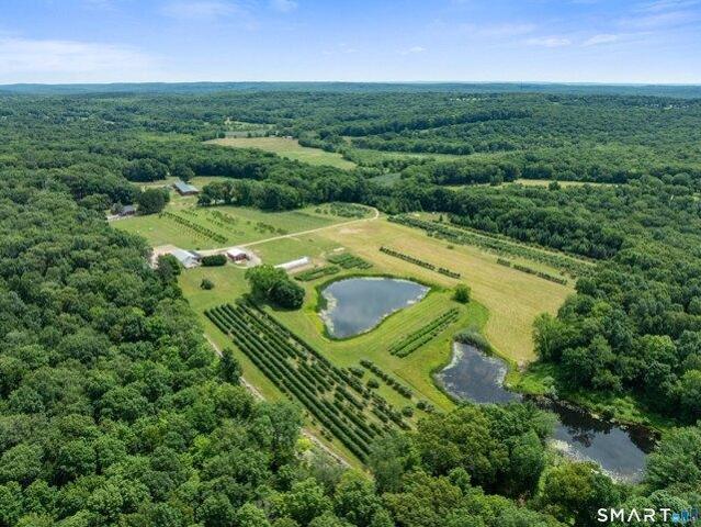land Ashford CT DS104263986