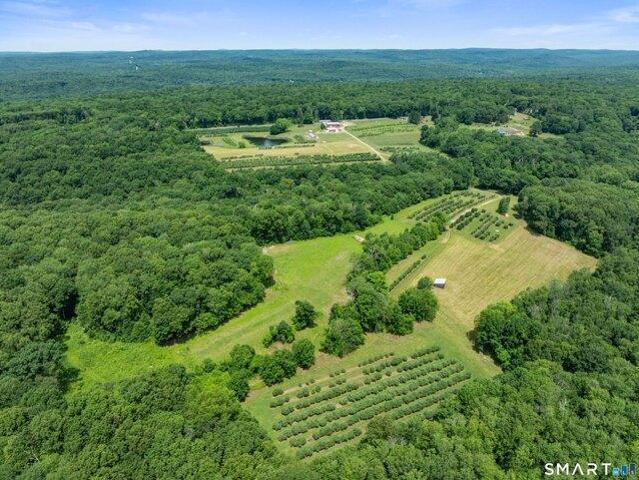 land Ashford CT ES105474511