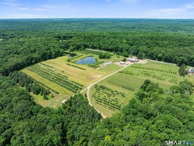 land Ashford CT ES105190867