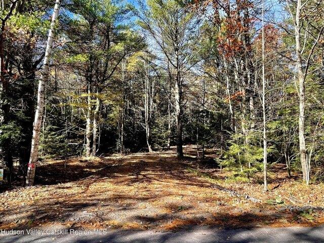 land Ashland NY ES105287003