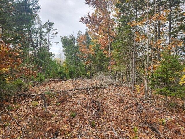 land Buckfield ME DLS102154080