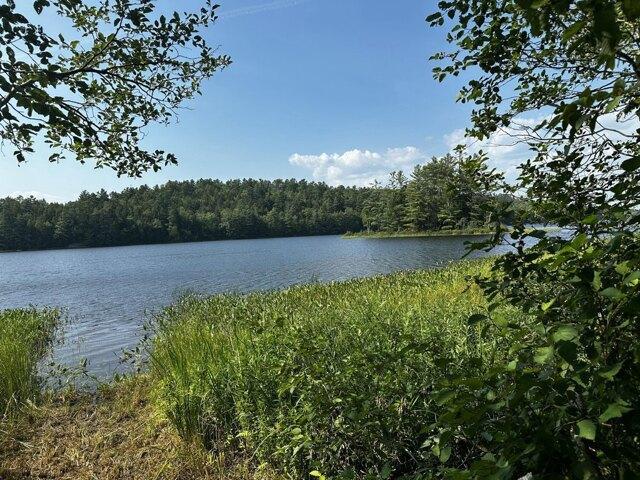 land Bucksport ME DLS102158521