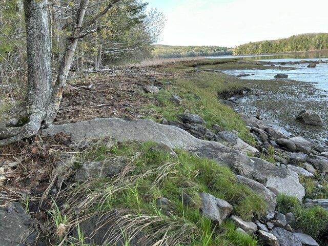 land Bucksport ME DS104008312