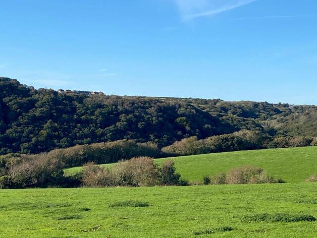 Land Bude Cornwall LS99475760