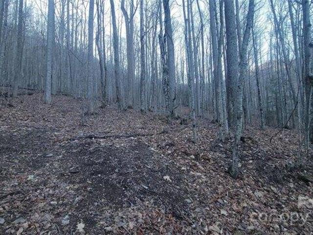 land Burnsville NC ES104898670
