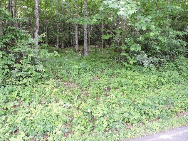 land Burnsville NC ES104901408