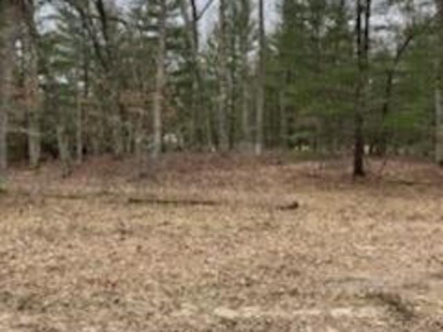 land Baldwin MI DLS89494992