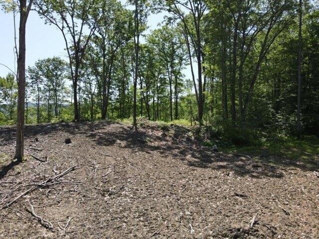 land Barnet VT DS102000135