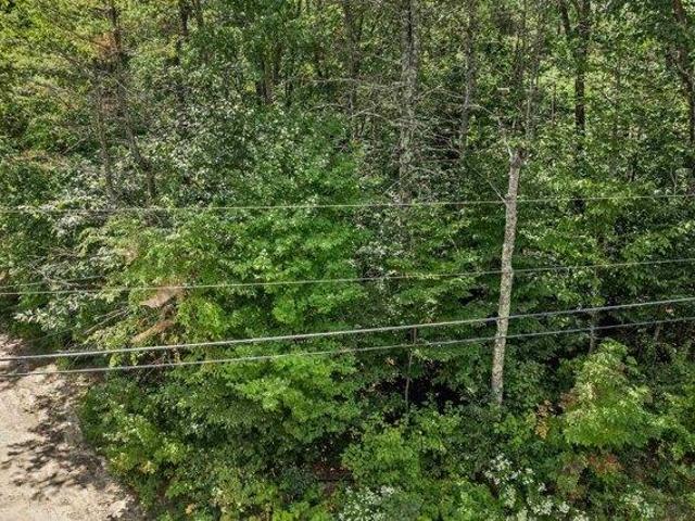 land Barnstead NH DLS102281675
