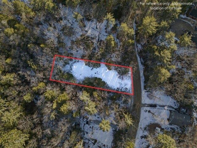 land Barrington NH DLS101603522