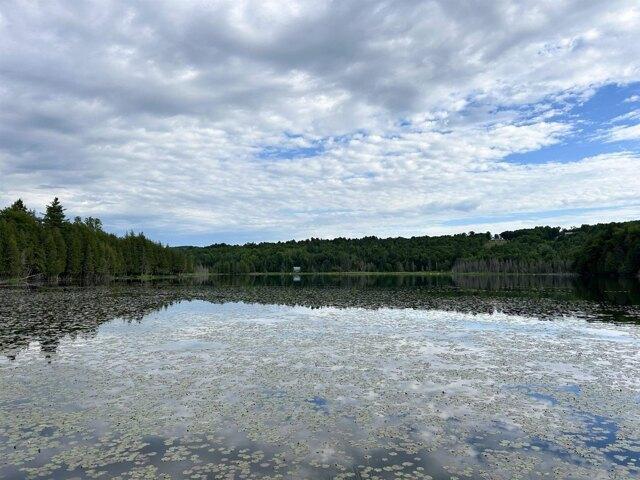 land Barton VT DS104115276
