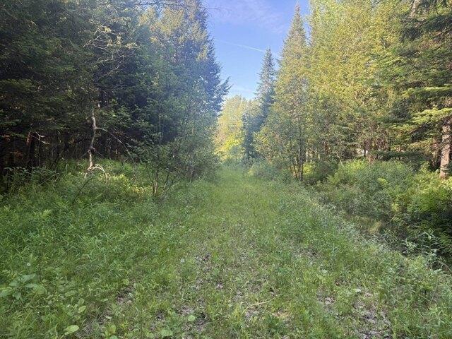 land Barton VT ES104808625