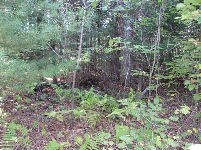 land Bath NH ES103968119