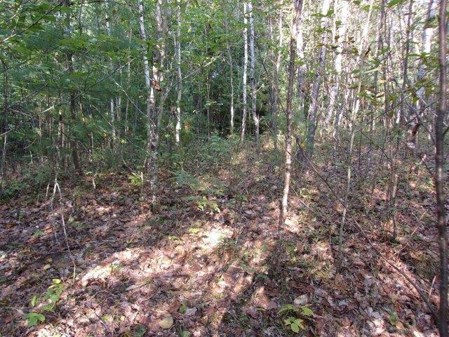 land Bath NH ES105256289