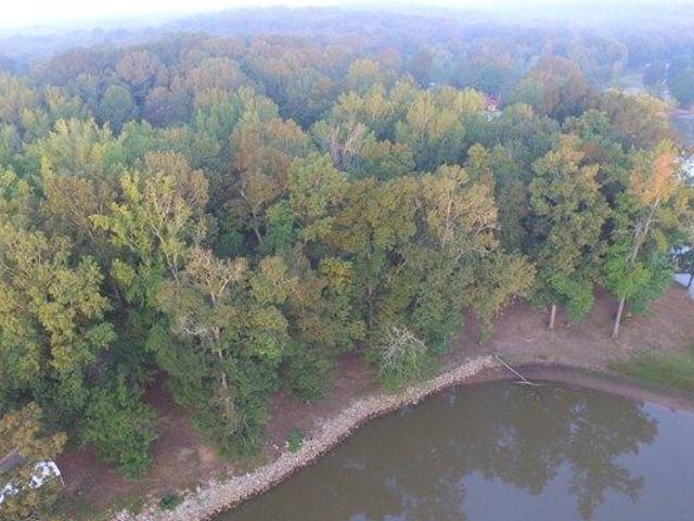 land Bath Springs TN DS96545890