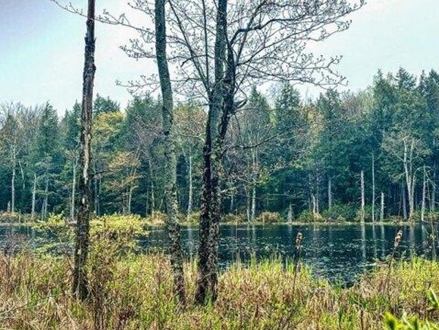 land Becket MA DS103436965