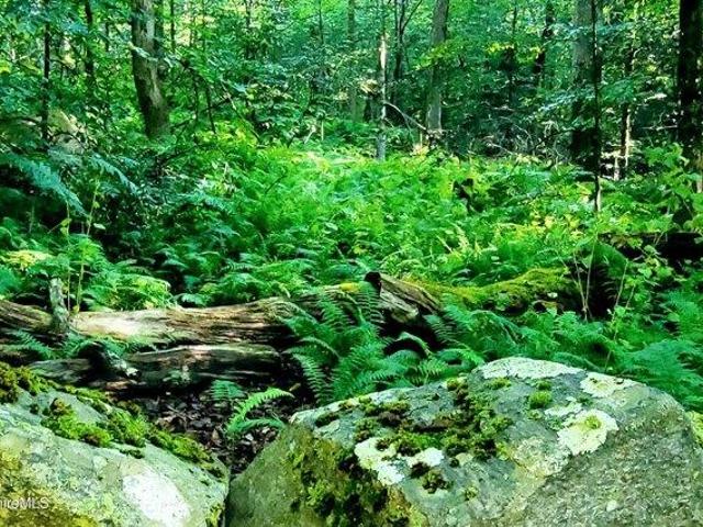 land Becket MA ES105096213