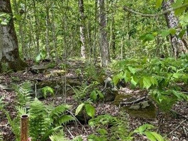 land Becket MA ES105158512