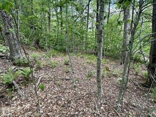 land Becket MA ES105206817