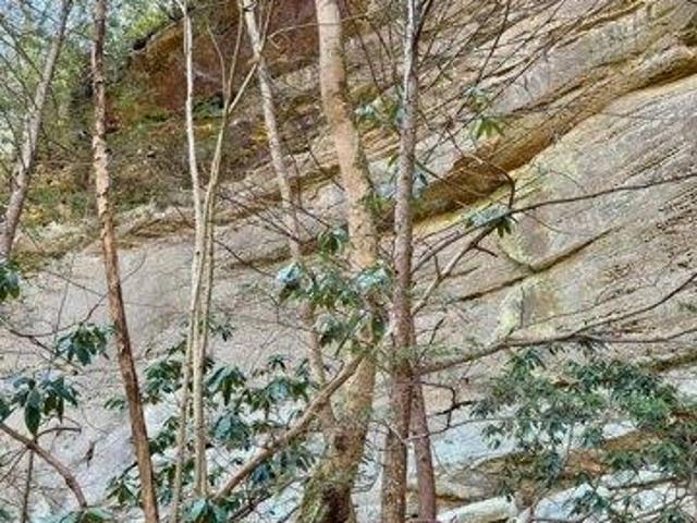 land Beattyville KY DS89484571