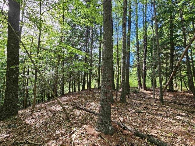 land Belmont NH DS103189777
