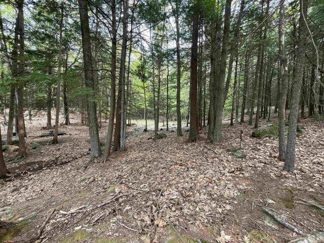 land Belmont NH ES105092300