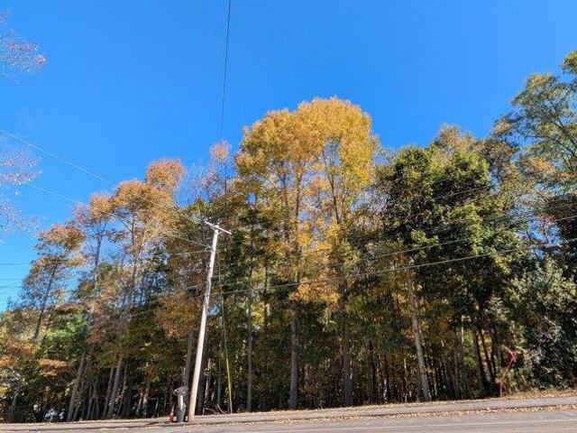 land Belfast ME DS101957083