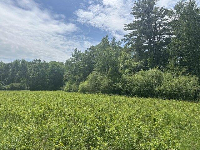 land Belfast ME DS103888271