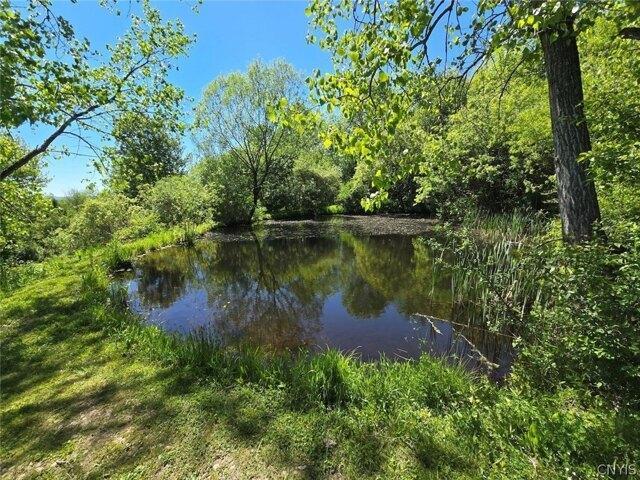 land Belfast NY DS103623652