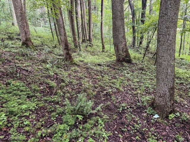 land Belington WV ES104907290