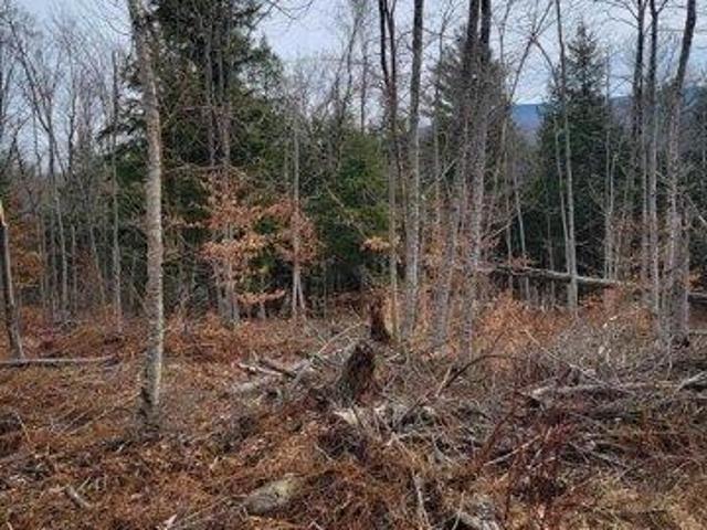 land Bennington VT DLS102409169