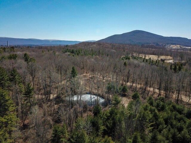 land Bennington VT DLS102442955