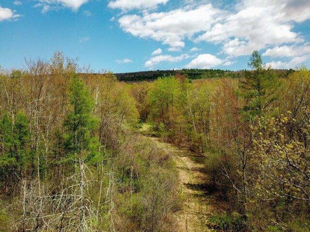 land Bennington VT DS102062620