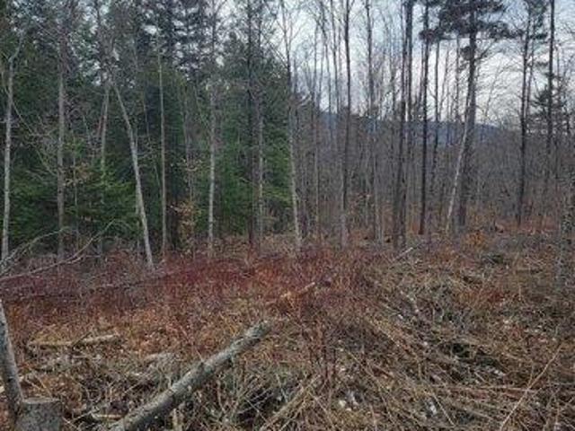 land Bennington VT ES104853082
