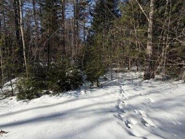 land Bethel ME DLS102119475