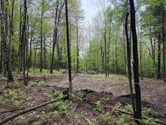 land Bethlehem NH DLS103070176