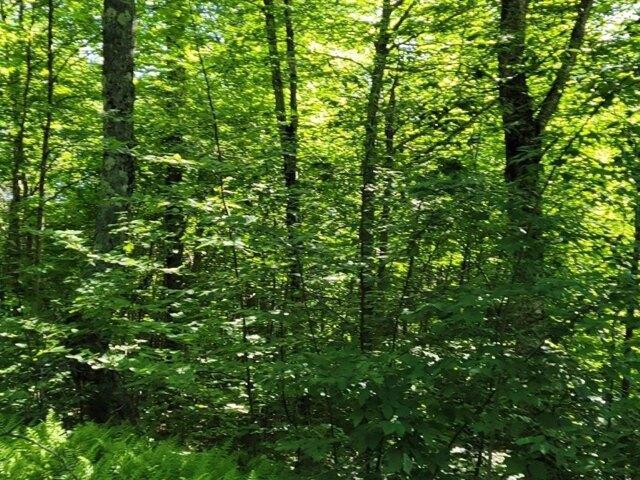 land Bethlehem NH DS102632586