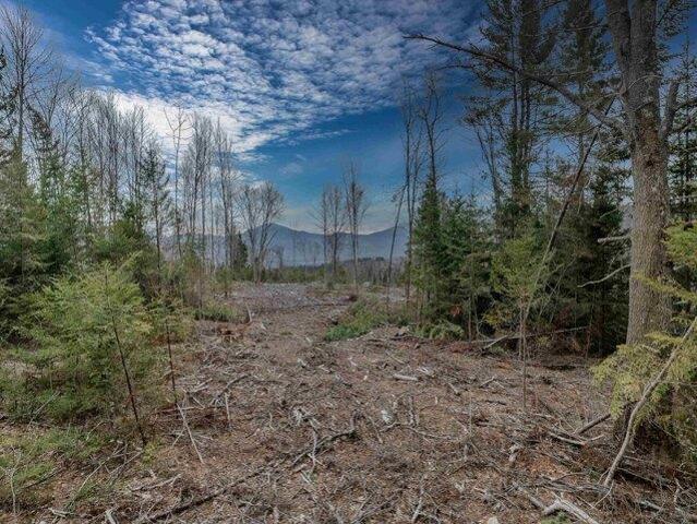 land Bethlehem NH DS102632865