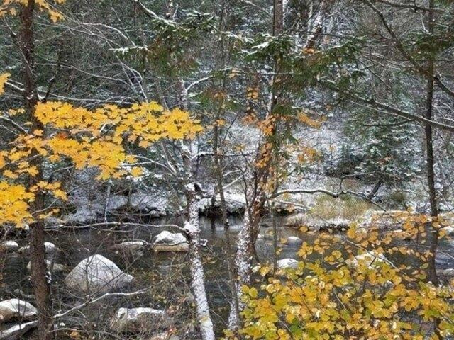 land Bethlehem NH DS102778231