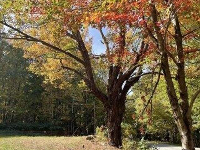 land Bethlehem NH ES103190351