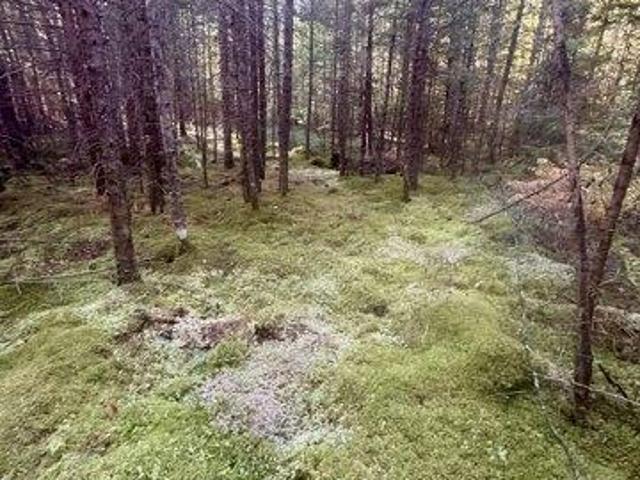 land Bethlehem NH ES104606231