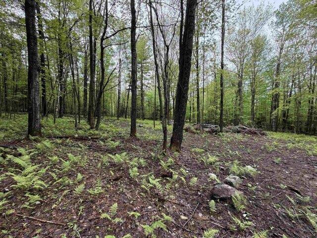 land Bethlehem NH ES105092986
