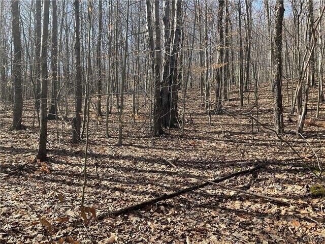 land Binghamton NY DS103621146