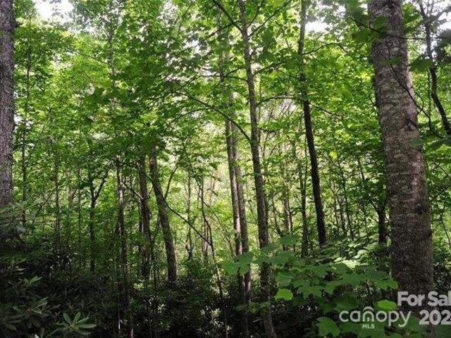 land Black Mountain NC DS103604464