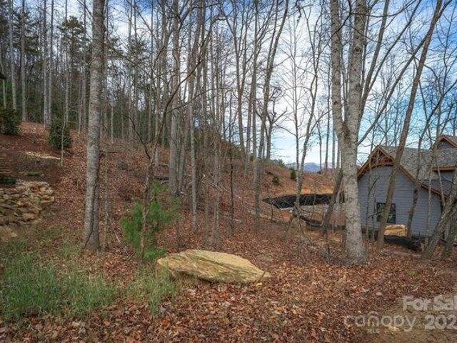 land Black Mountain NC DS103605673