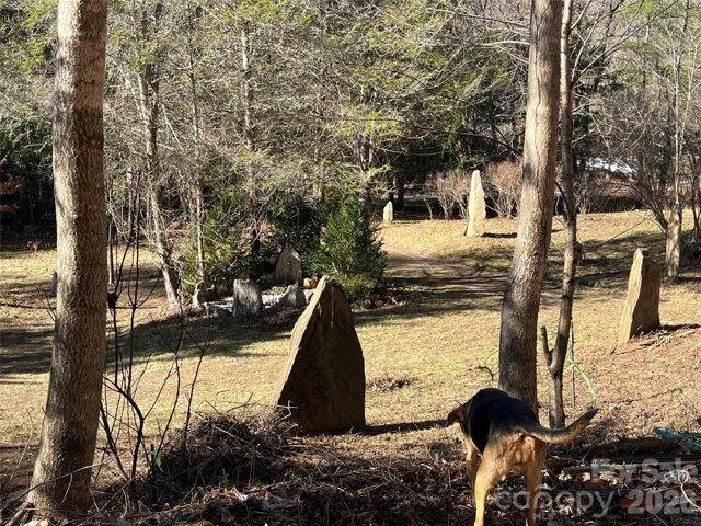 land Black Mountain NC DS103605758