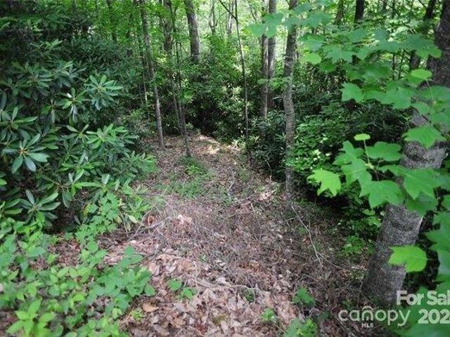 land Black Mountain NC ES103604464